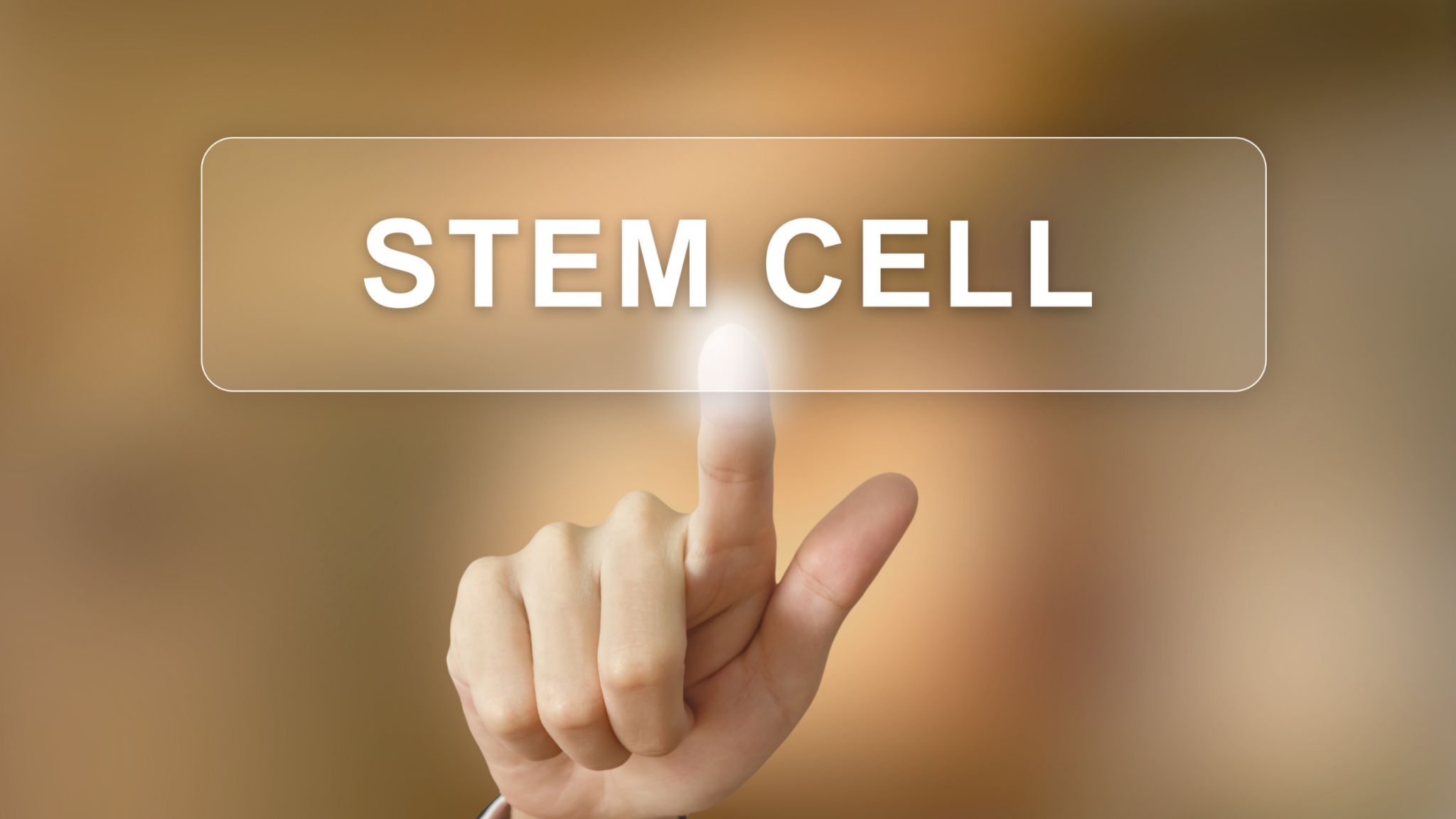 A Good Reason to Second Guess Stem Cell Injections into Your Spine ...