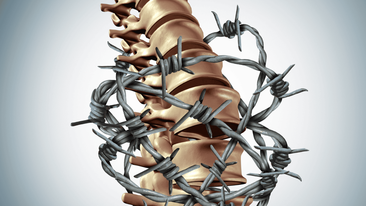 Lumbar Disc Replacement Surgery: What You Need to Know - Regenerative ...